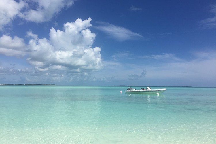 Treasure Cay Beach, Marina and Golf Resort, Bahamas - Get Prices for ...